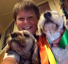 The Social Significance of…Spoodles – Anna Larkin – of life and love